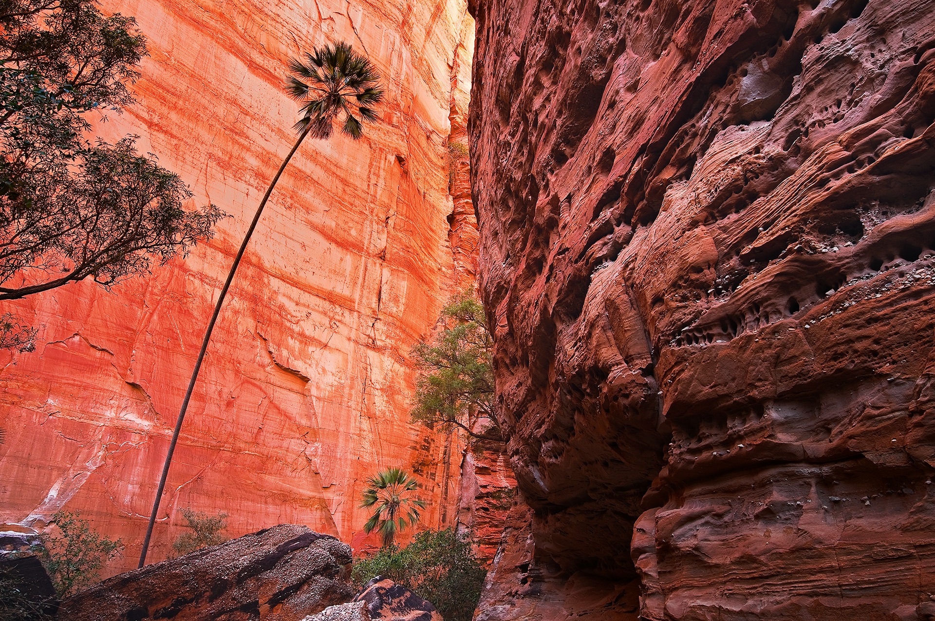 What Do We Mean When We Talk About Wilderness - Wild