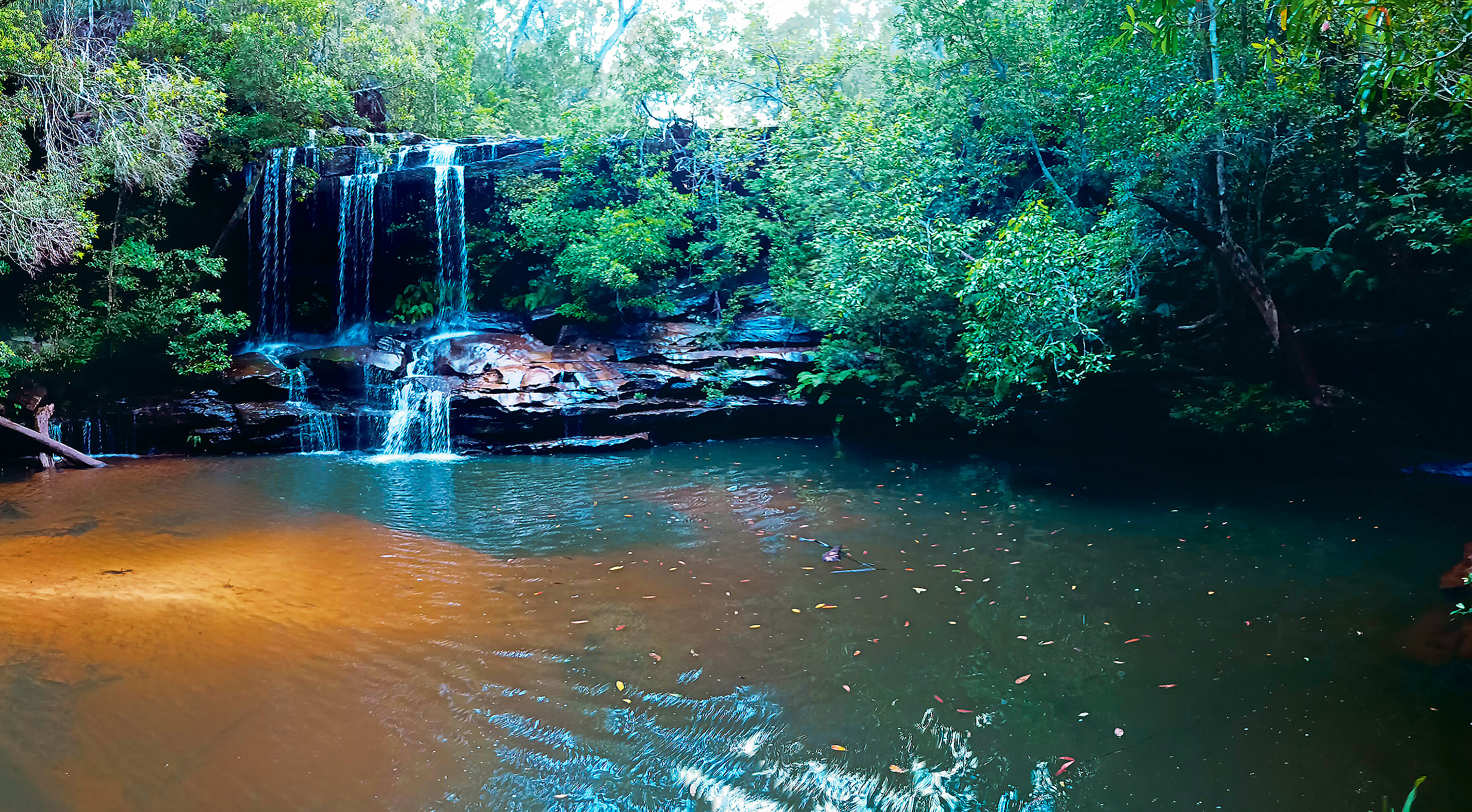 From the Editor: Secrets - Wild