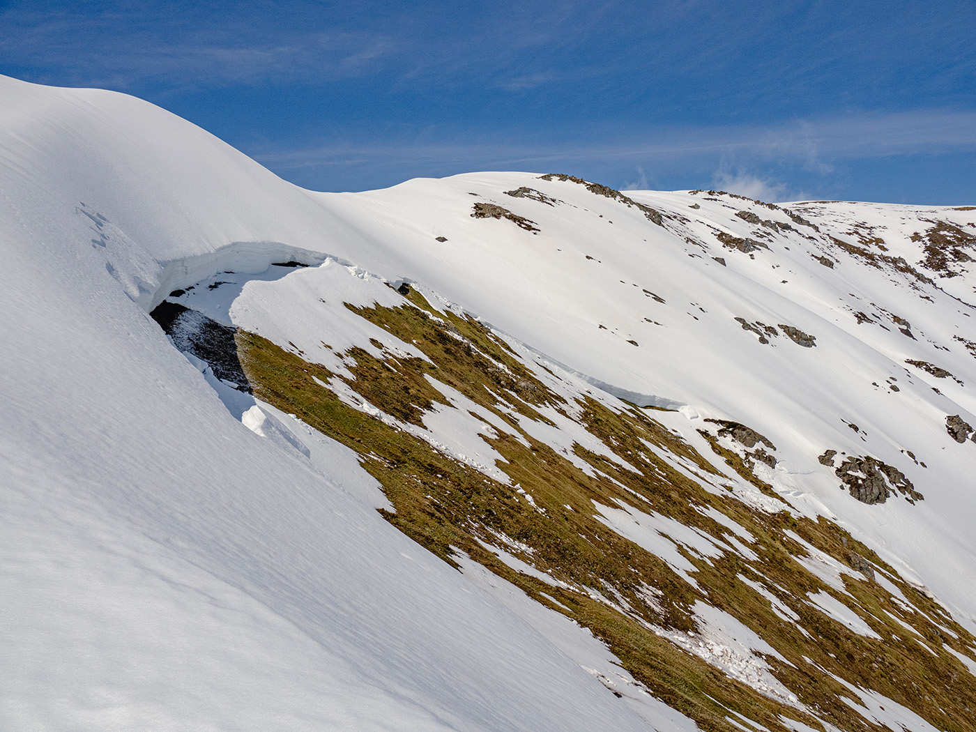 Avalanches in OZ - Wild