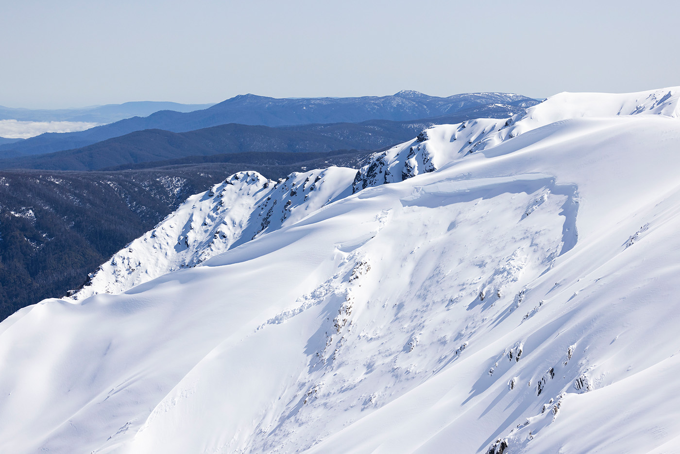 Avalanches in OZ - Wild