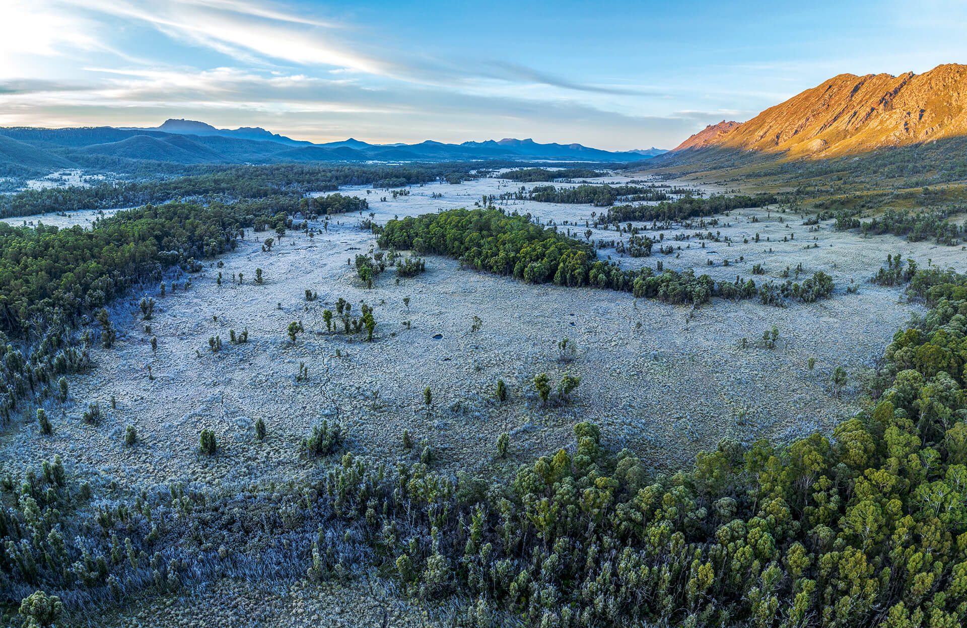 Gordonvale Reserve's Tenth Birthday - Wild