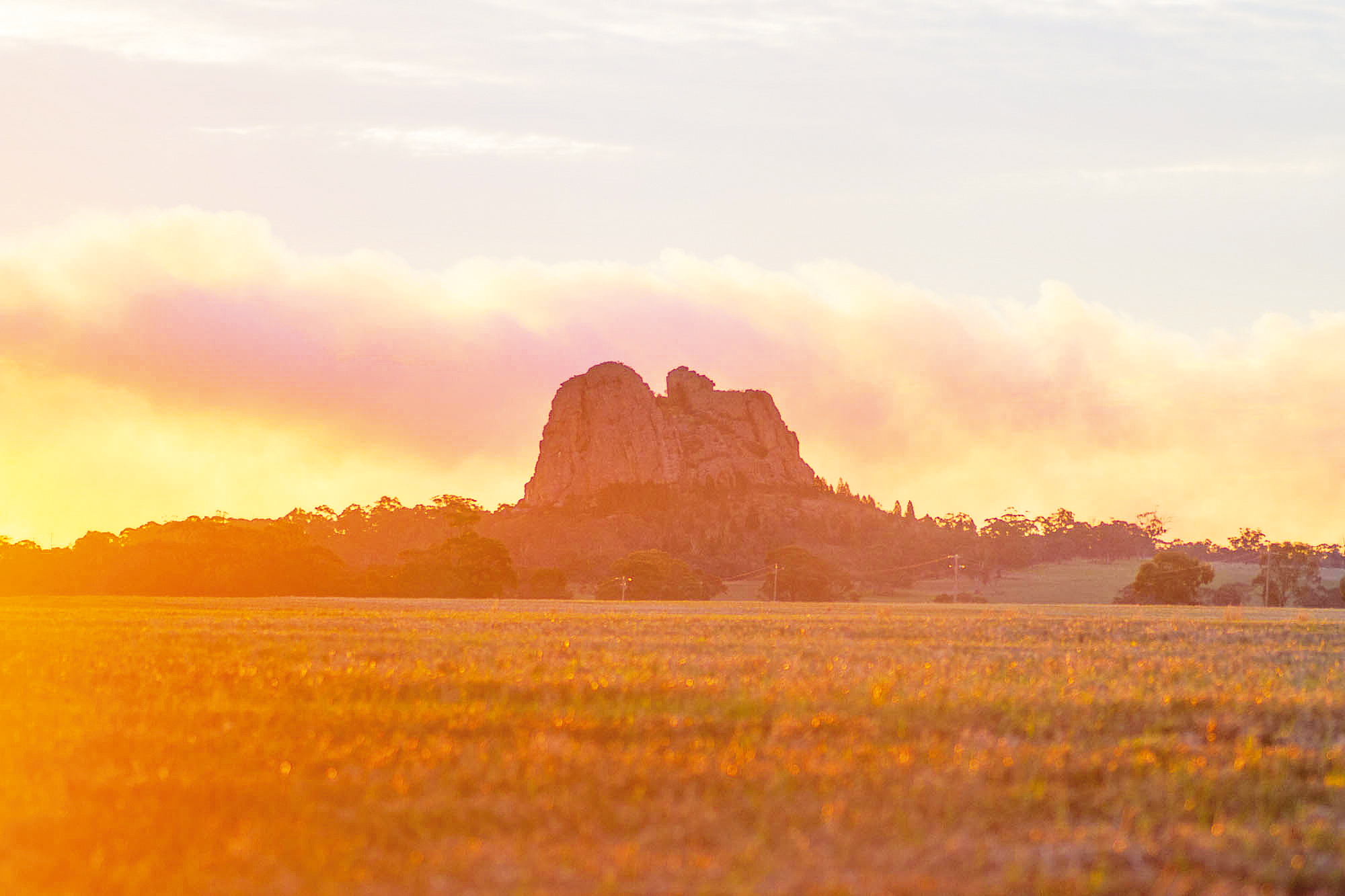 Arapiles Climbing Bans: Time For A Genuine Collaboration - Wild