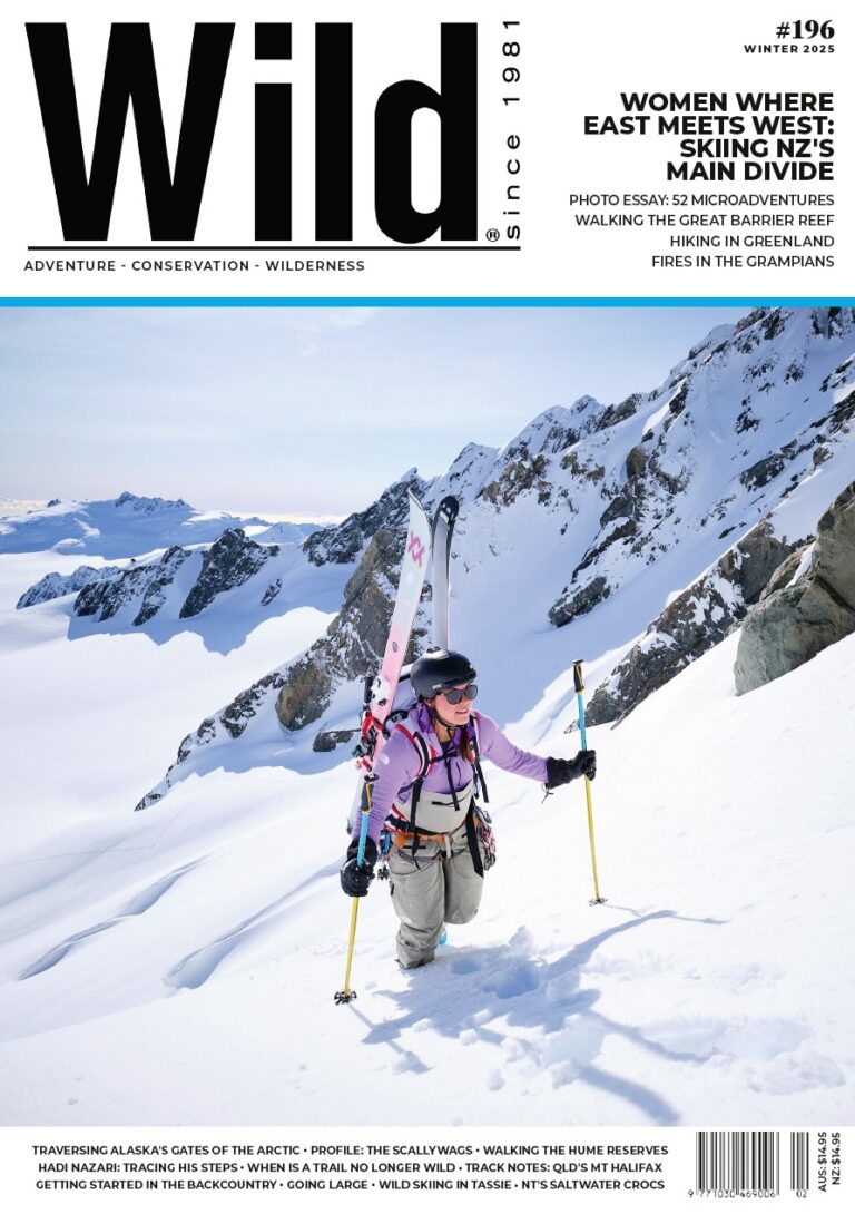 The Cover Shot - Wild #196 - Wild